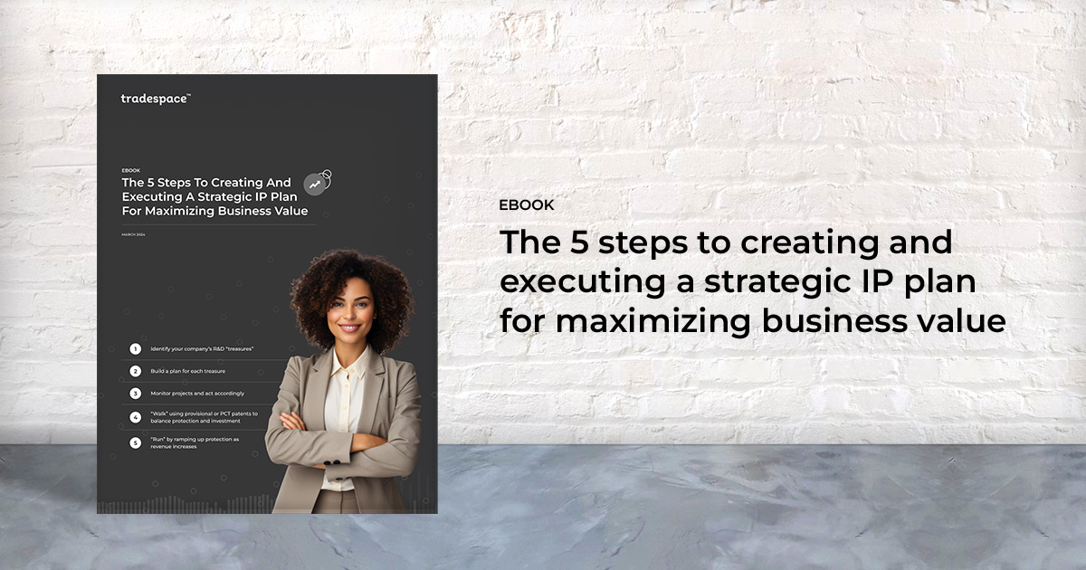 The 5 Steps to Creating a Strategic IP Plan | Request